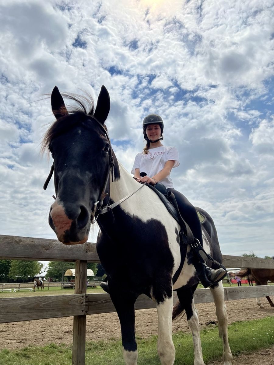 Meet the Herd - Black River Farm and Ranch