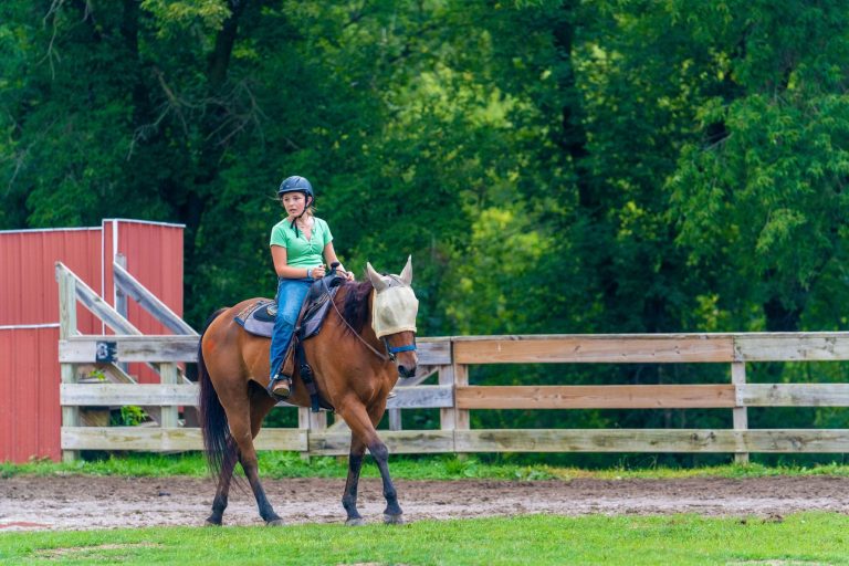 About Camp - Black River Farm and Ranch