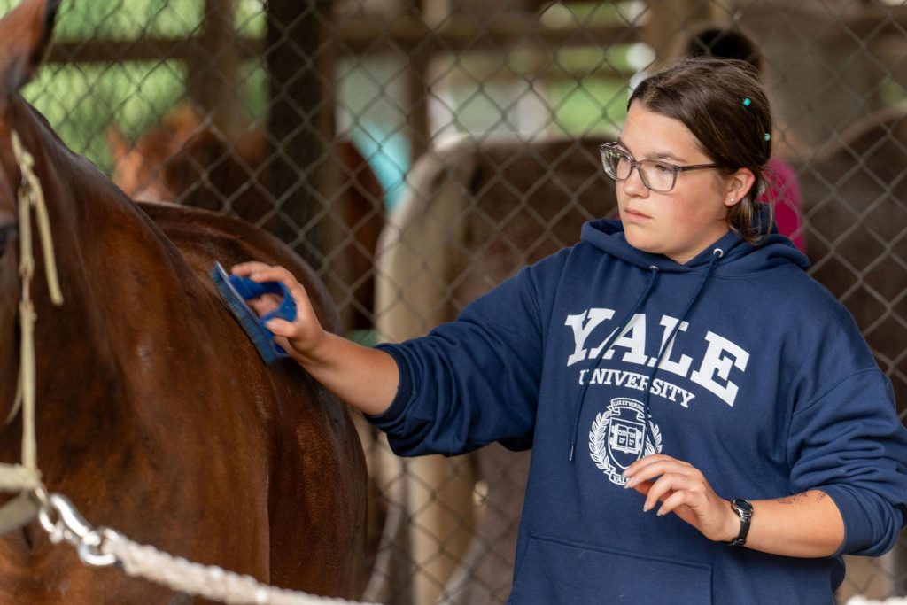 Riding Program - Black River Farm and Ranch